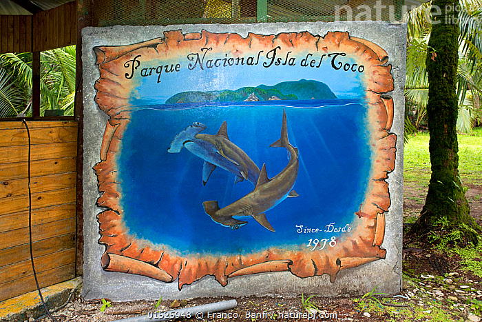 Stock photo of Painting of Hammerhead shark, Wafer Bay ranger station ...