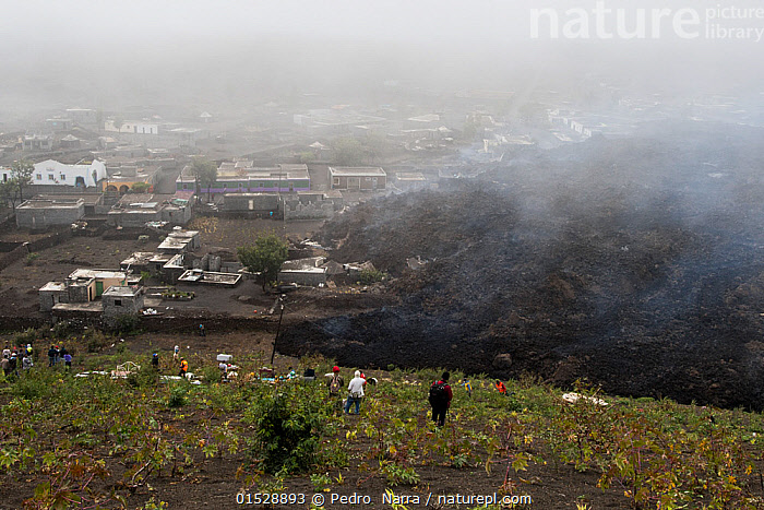 Stock photo of Village destroyed by lava flow from eruption of Fogo ...