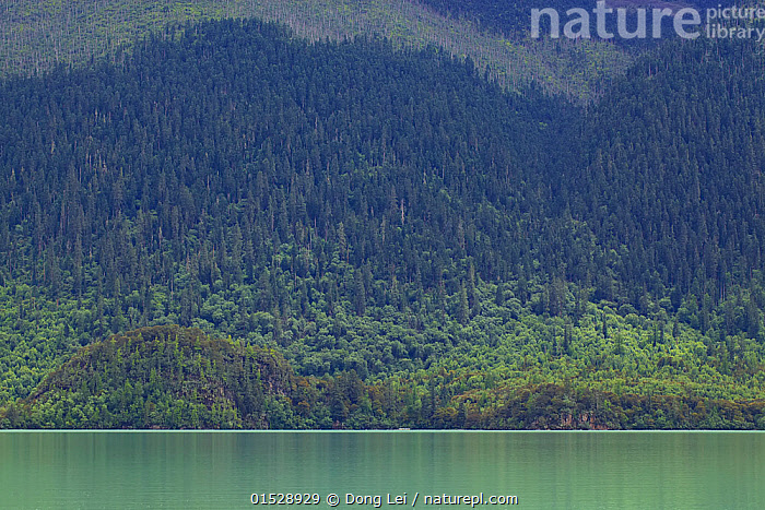 Stock photo of Forest landscape on the shore of lake, Basongcuo ...