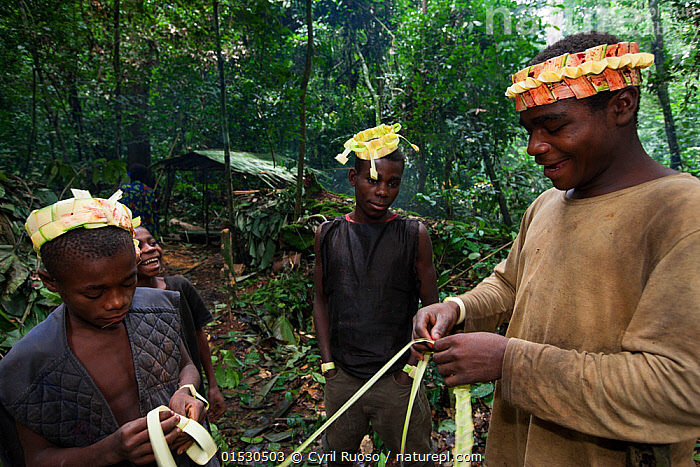 Stock photo of Baka man with three boys making plant fiber crowns for a ...