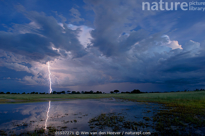 Stock photo of Thunder storm with lightning over the Okavango Delta ...