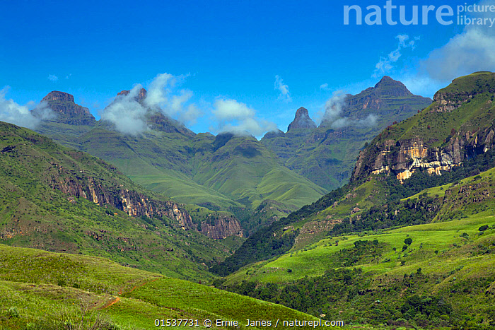 Stock photo of Landscape of Cathedral Peak, Drakensberg, KwaZulu-Natal ...