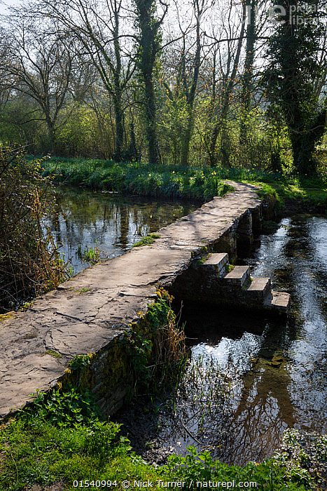Stock photo of Stone clapper bridge over River Leach at Eastleach ...