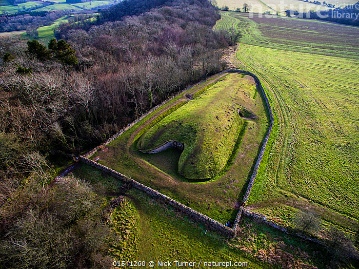 Stock photo of Aerial view of Belas Knap, a neolithic chambered long ...