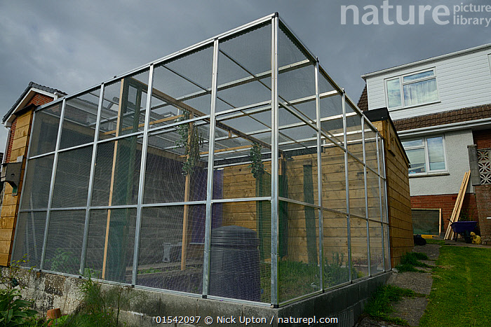 Stock photo of Bat flight cage for testing the flight ability of ...