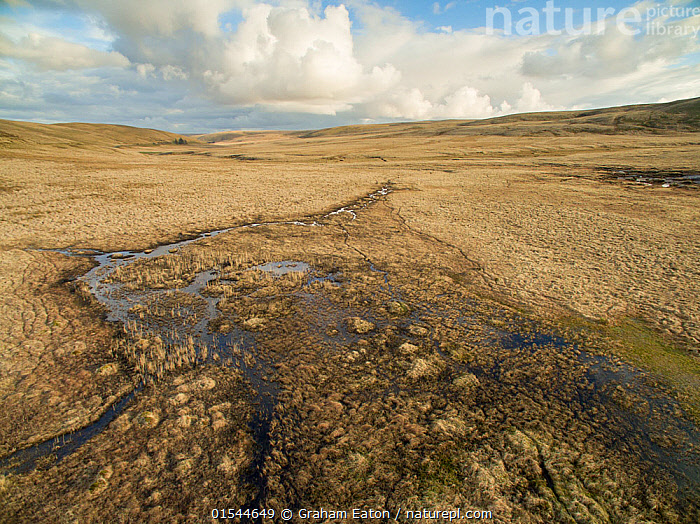 Stock photo of Aerial view of an upland blanket bog at the source of ...