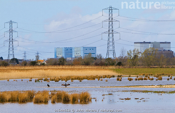 Stock photo of Steart Marshes, WWT reserve, flooded at high tide, with ...