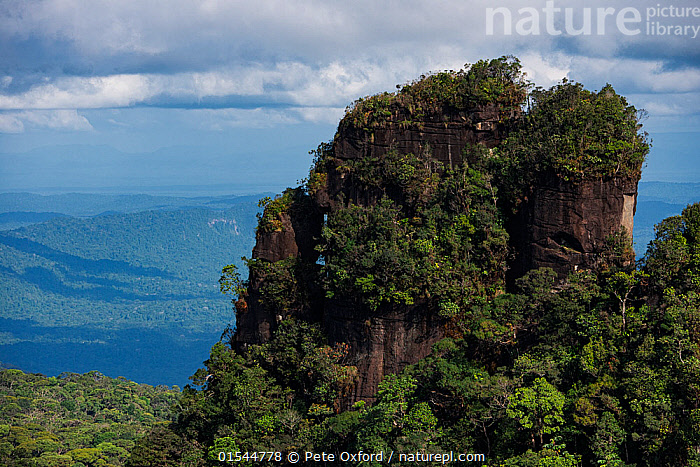 Stock photo of Tepui, flat top mountain, in Kupinang, Potaro-Siparuni ...