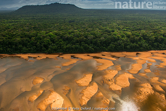 Stock photo of Aerial view of Essequibo river, the longest in Guyana ...