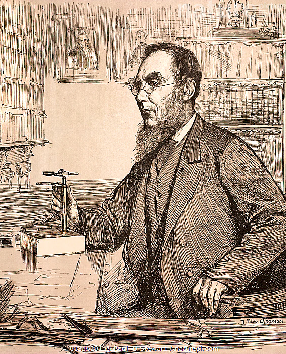 Stock photo of Illustration of Sir Joseph Hooker (1817-1912) English ...