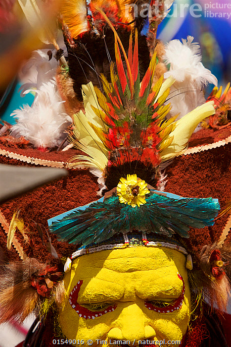 Stock photo of Huli 'singsing' dance ceremony. Huli wigmen wearing ...