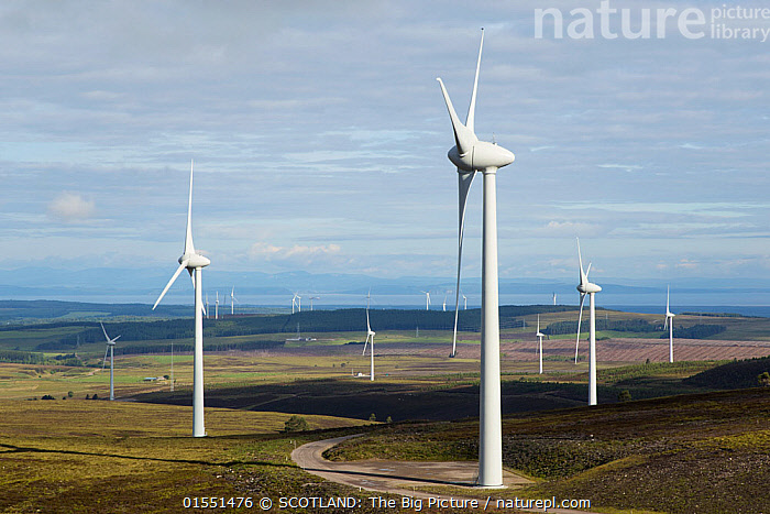 Stock photo of Wind turbines at Berry Burn on Altyre Estate, Moray ...