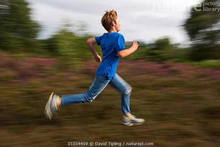 Stock photo of Young boy running across heath, Kelling Heath, Norfolk ...