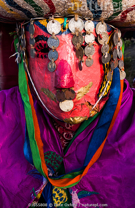 Stock photo of Indigenous Salasaca Indian in traditional mask ...