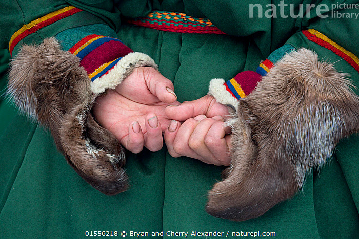 Stock photo of Close up of the sleeves of a Nenets man's reindeer skin ...