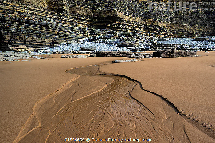 Stock photo of Small braided stream flowing across a beach with ...