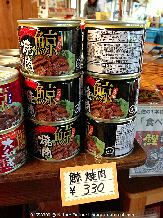 Berlin Whale Meat
