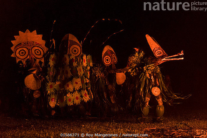 Stock photo of Baining men in traditional fire dance ceremony. Men ...