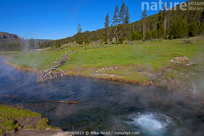 Stock photo of Terrace Springs hot pools in the Maddison River Valley ...