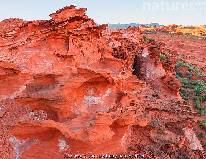 Stock photo of Eroded salt laden sandstone 'fins' in incredible sculped ...
