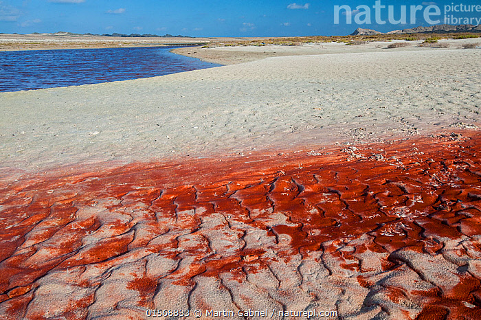 Stock photo of Pattern of reddish sand and water in lagoon, colour ...