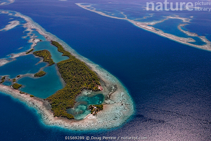 Stock photo of Aerial view of channel through southern Belize barrier ...