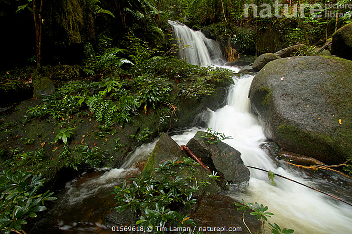 Tropical Rainforest Waterfalls Tropical Rainforest Waterfall Stock