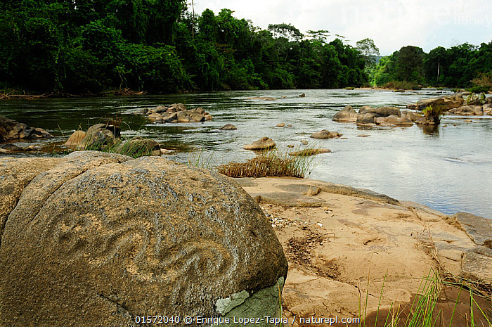 Stock photo of Petroglyphs of Walpaulban, Rio Platano Biosphere Reserve ...