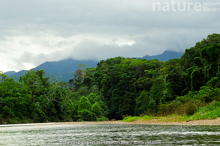 Stock photo of Rio Platano and rainforest landscape, Rio Platano ...