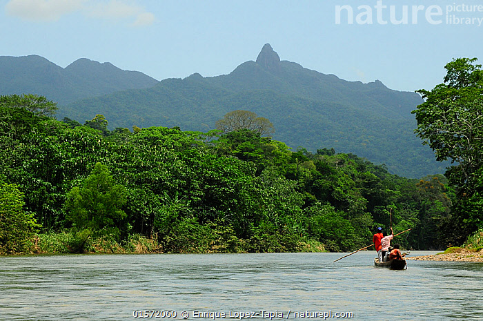 Stock photo of Tropical rainforest and mountains, Rio Platano Biosphere ...