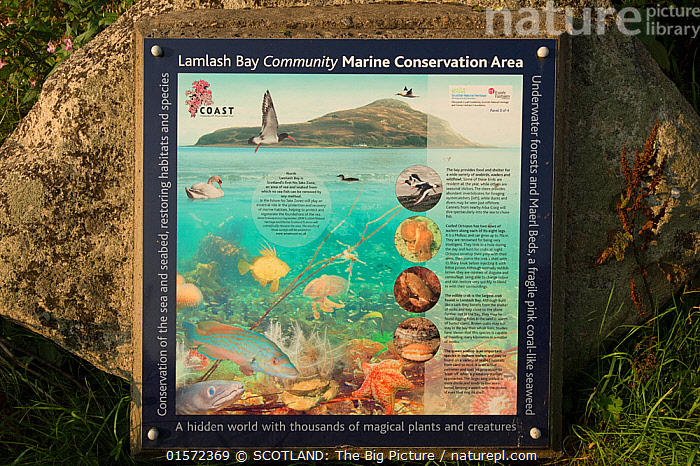 Stock photo of Lamlash Bay no take zone information board, South Arran ...