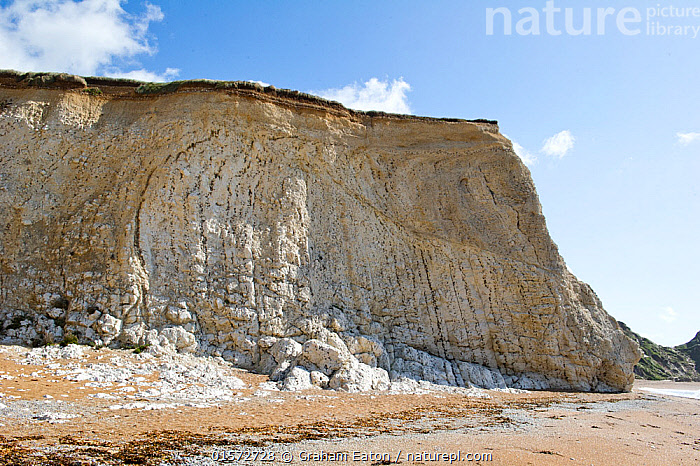 Stock photo of Vertical beds of Cretaceous chalk, with layers of flint ...