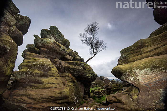 Stock photo of Rock formations at Brimham Rocks created by variable ...