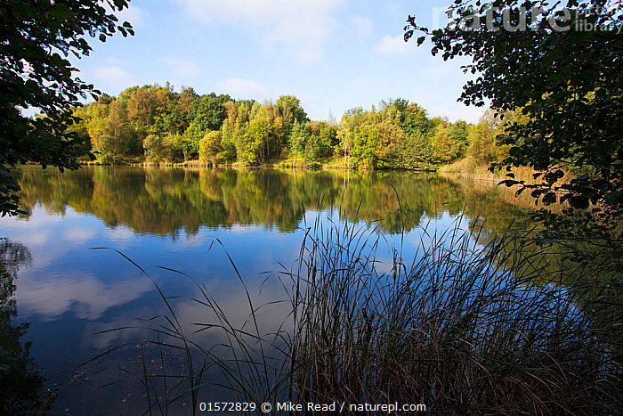 Stock photo of Lake at Swanwick Lakes, Hampshire and Isle of Wight ...