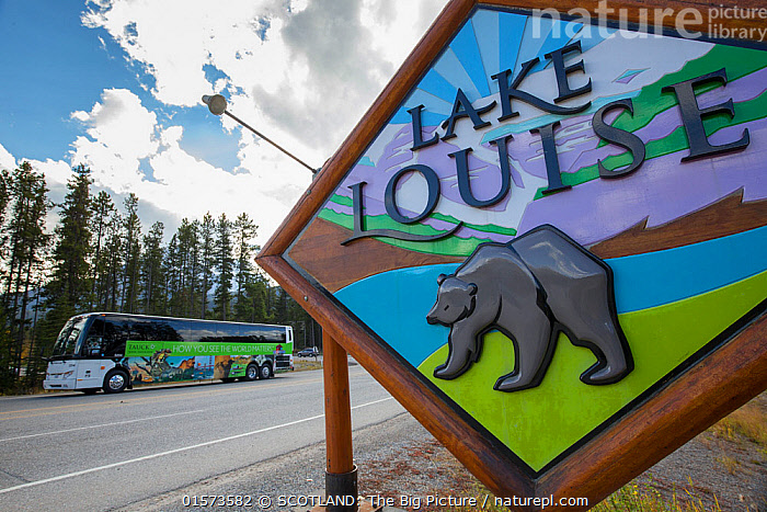 Stock photo of Location sign for Lake Louise featuring a grizzly bear ...