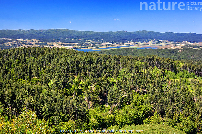 Stock photo of Cecita lake and Sila Grande from the slopes of Mount ...