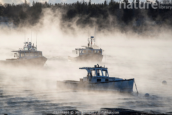 Stock photo of Sea mist rising from the water surface around lobster ...