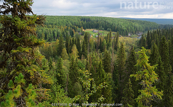 Largest Forests In Europe