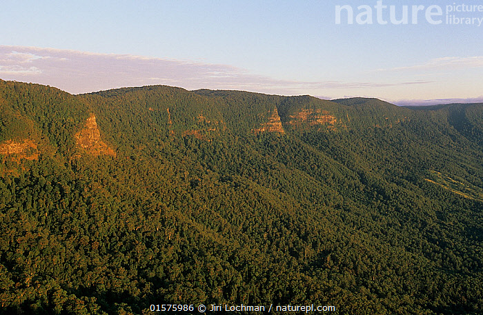 Stock photo of The rim of the ancient volcanic crater, Border Ranges ...