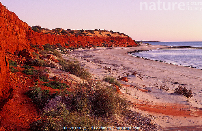 Stock photo of Red cliffs at Point Peron, Francois Peron National Park ...