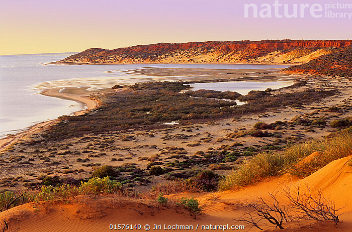 Stock photo of Cape Lesueur, Francois Peron National Park, Shark Bay ...