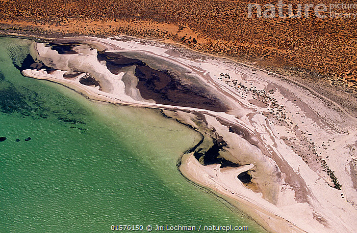Stock photo of Aerial view of Faure Island with mangrove trees in ...