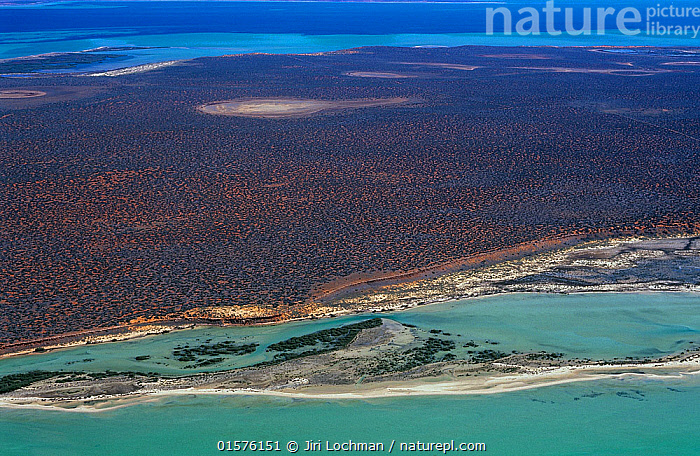 Stock photo of Aerial view of Faure Island with mangrove trees in ...