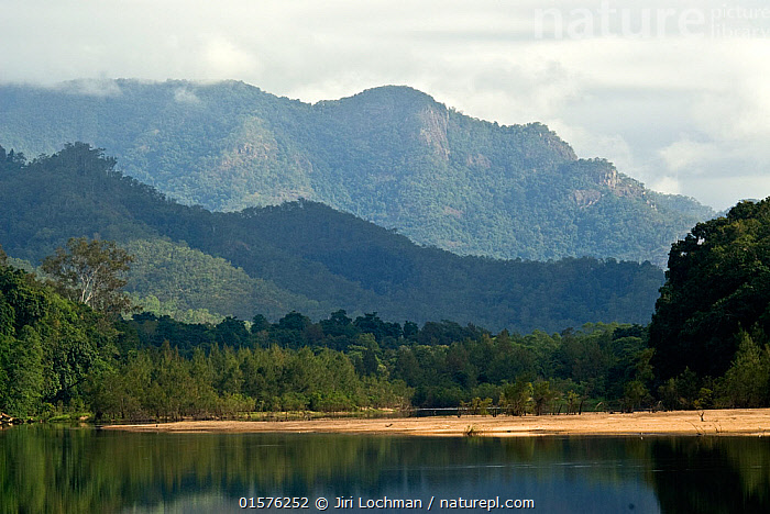 Stock photo of Herbert River fringed by tropical rainforest, Girringun ...
