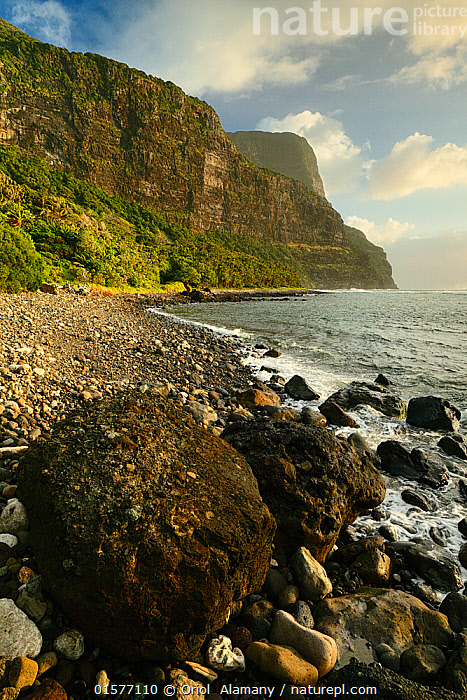 Stock photo of Little island Beach, Lord Howe island, Lord Howe Island ...