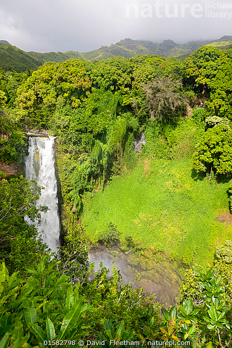 Stock photo of Makahiku Falls, along the Pipiwai Trail in Ohe'o Gulch ...