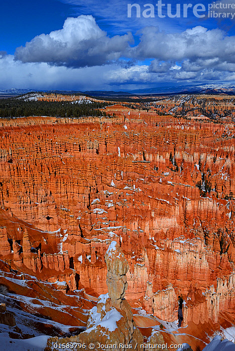 Stock photo of Hoodoos formations, patterns formed by erosion in ...