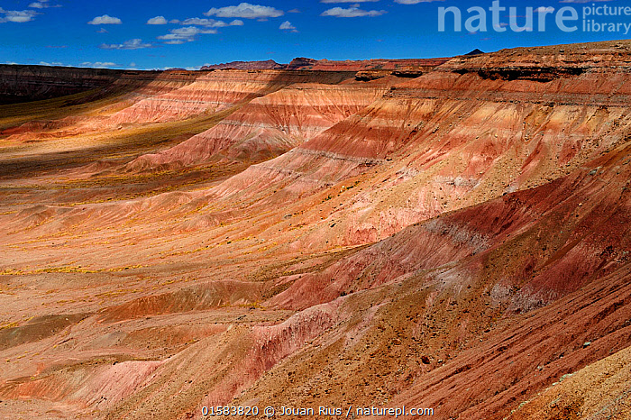 Stock photo of Bentonite hills in Badlands of the Arizona desert, USA ...