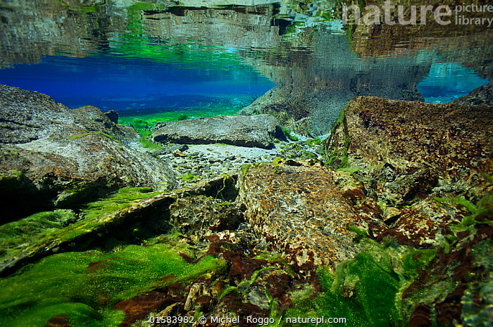 Stock photo of Underwater view in Rotomairewhenua / Blue Lake, Nelson ...