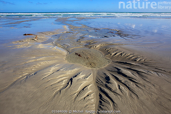 Stock photo of Freshwater spring in the intertidal zone of the ...